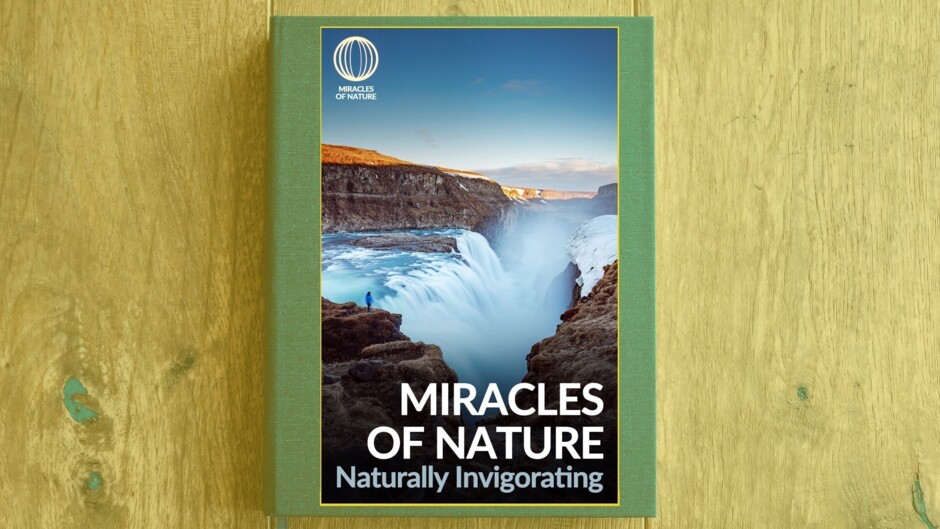 Miracles of Nature - Wedo Big Stories - 12. febbraio 2026, 01:02 - Teleboy