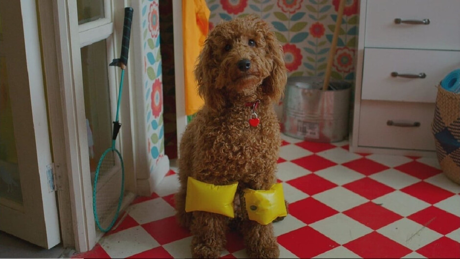 Waffle the Wonder Dog - CBeebies - 9. février 2026, 13:02 - Teleboy